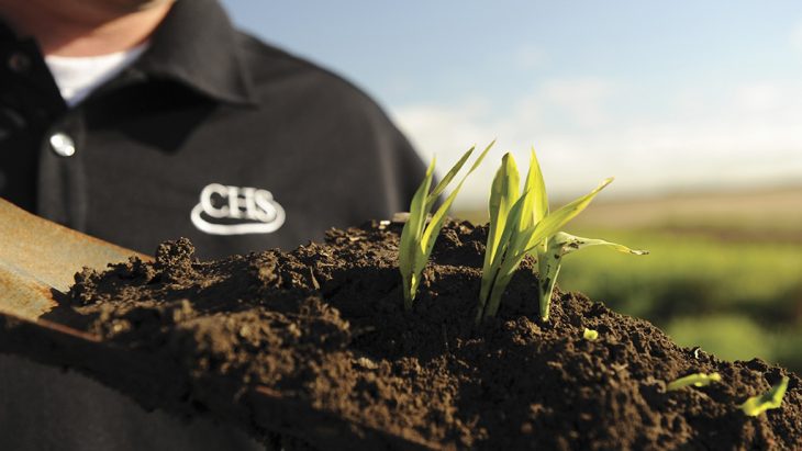 About - CHS Southwest Grain