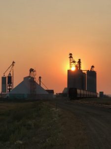 About - CHS Southwest Grain
